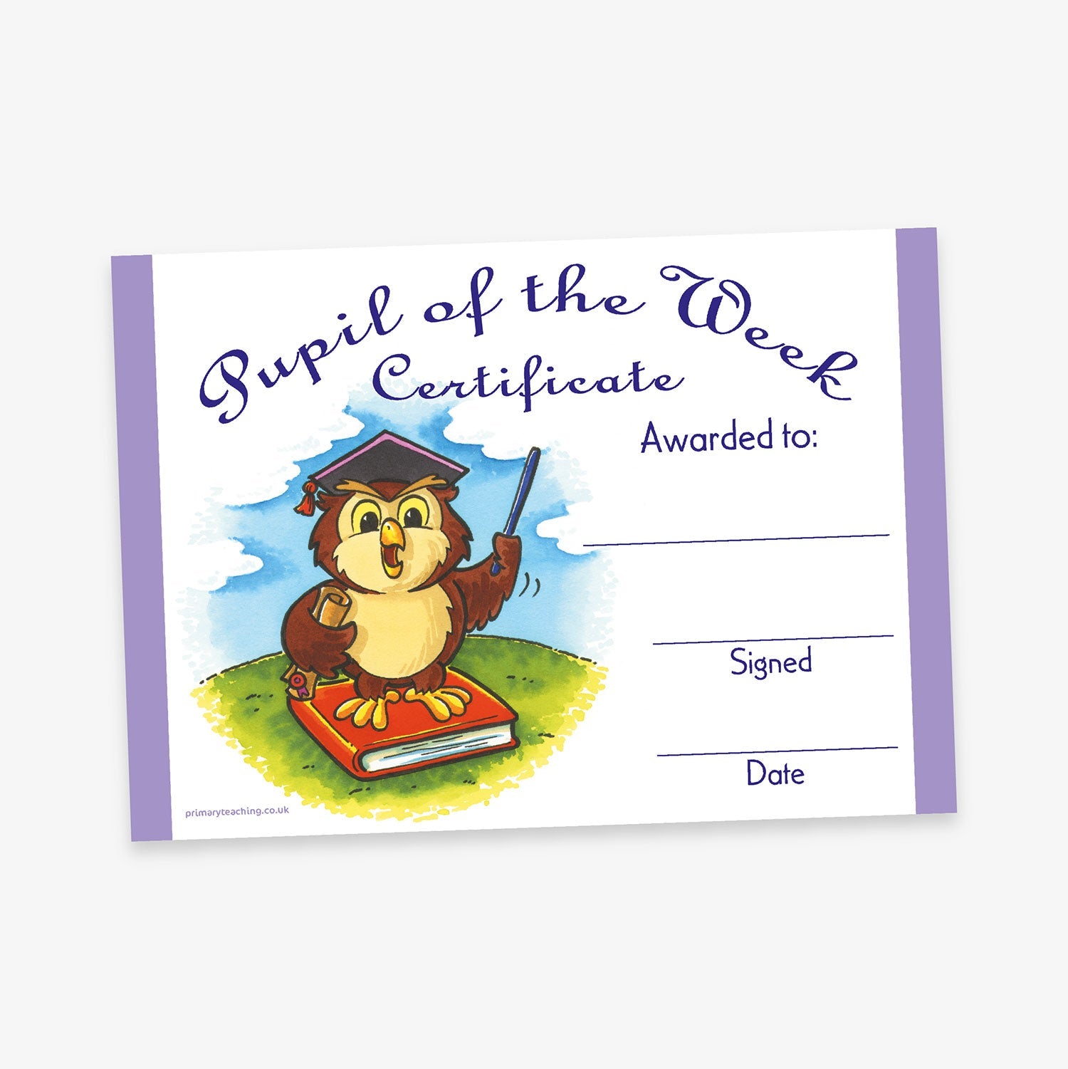 Pupil of the Week Owl Certificates | 20 Certificates | A5