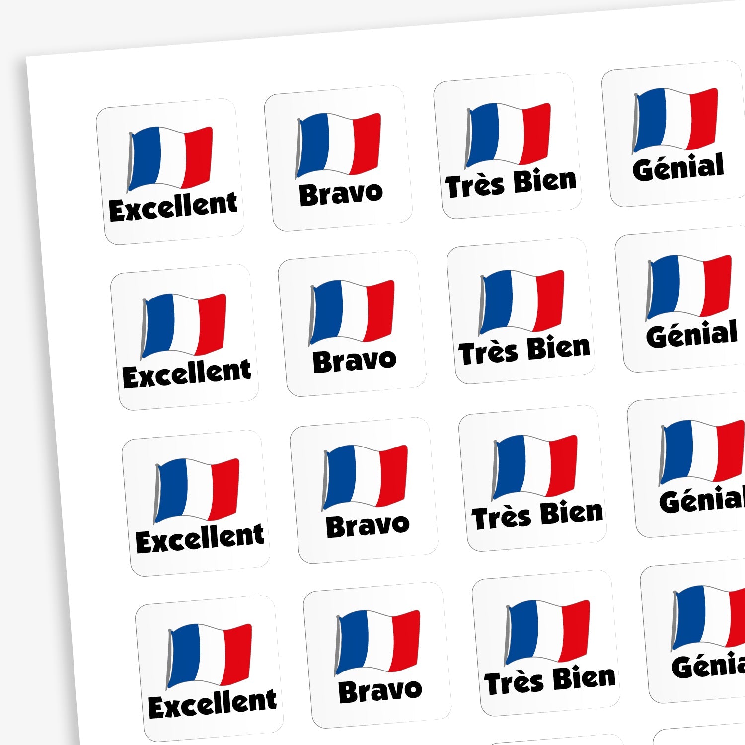 French Stickers | 140 Stickers | 16mm | Pupil Rewards