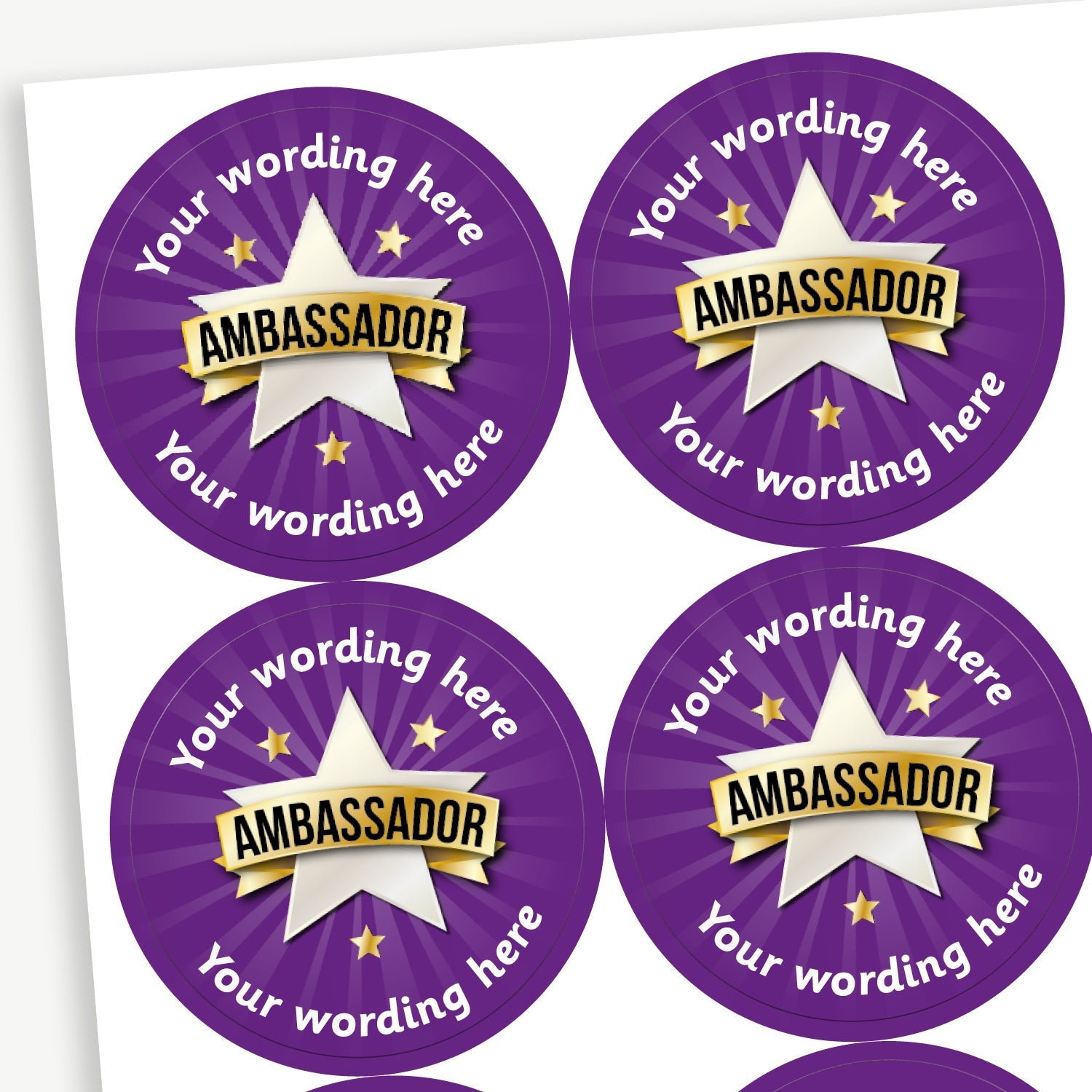 Personalised Ambassador Stickers | 35 per sheet | 37mm