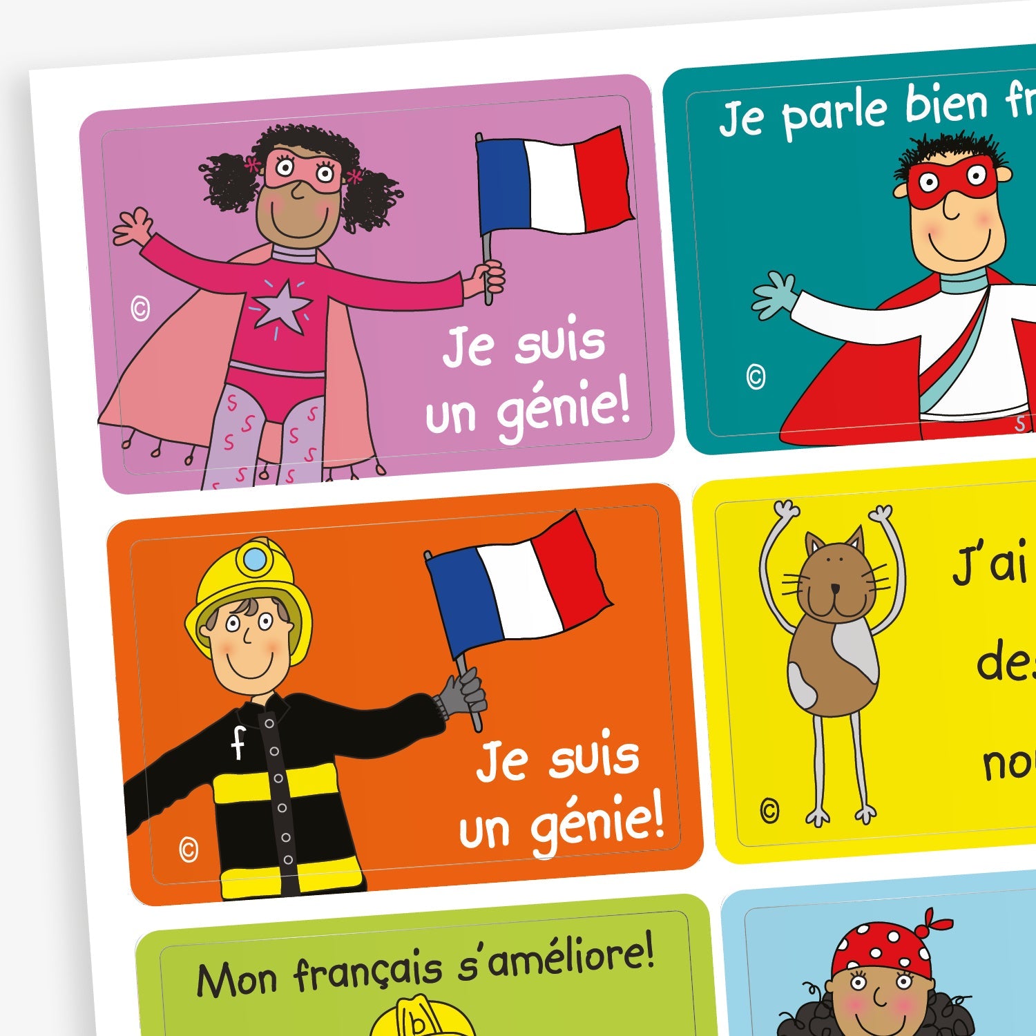 Pedagogs French Stickers | 32 per sheet | 46mm x 30mm
