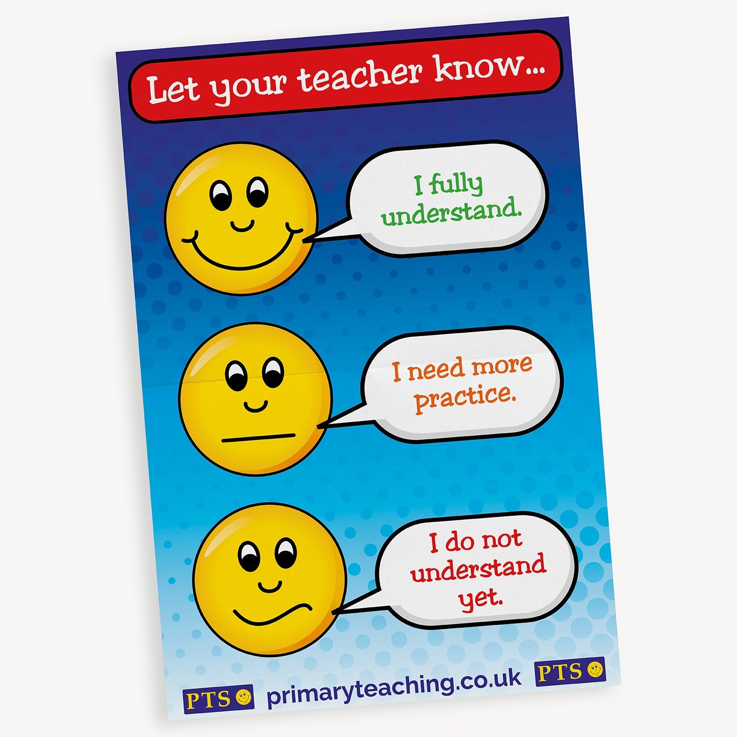 Expressions for Understanding Poster | A2 | Wallchart